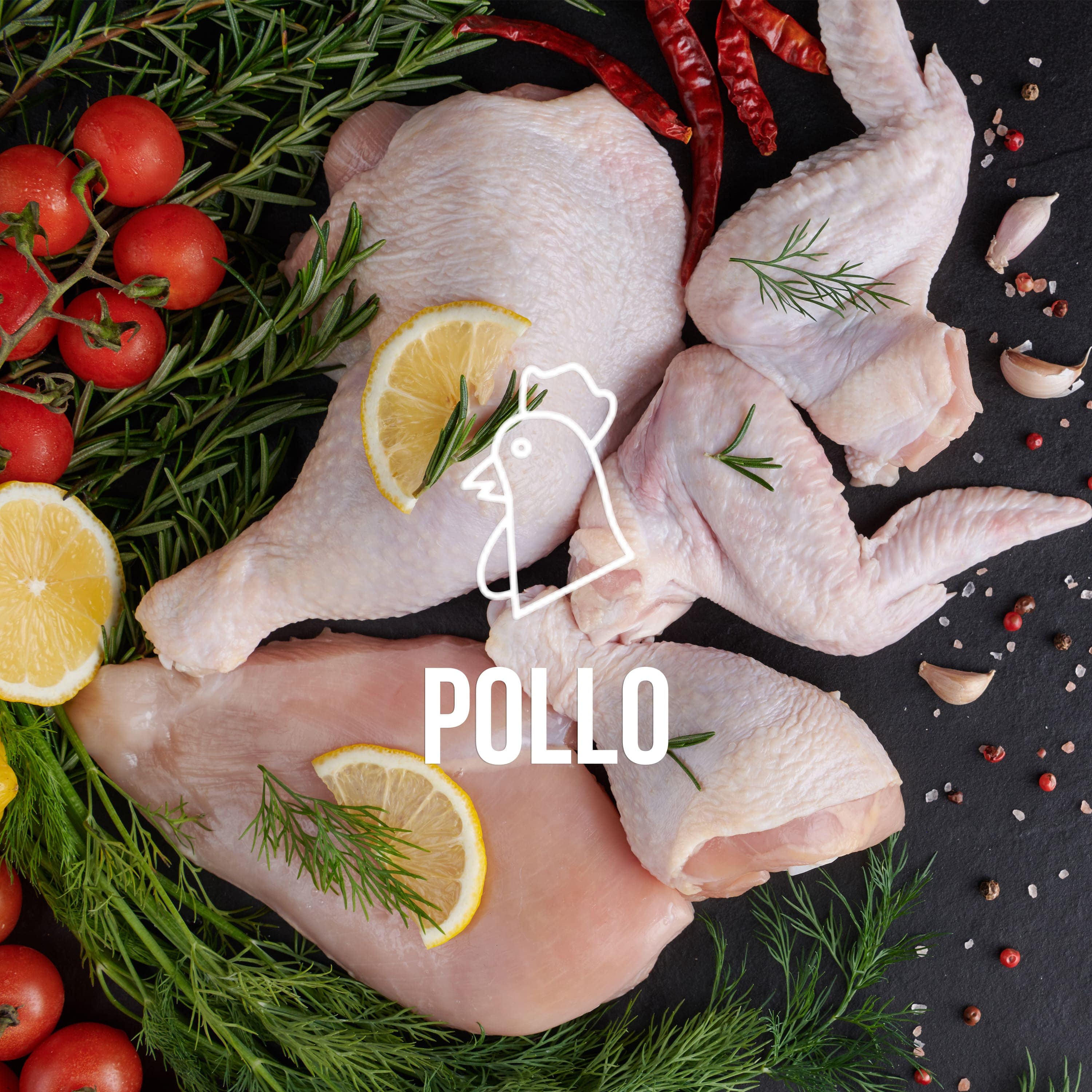 Pollo - Casa Planes
